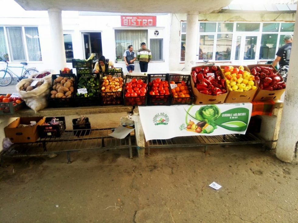 Gradinile Malancrav va asteapta cu ardei kapia, ardei gras, cartofi ...